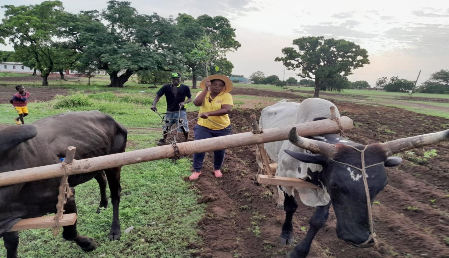 About - TITIAKA BORESSA LTD